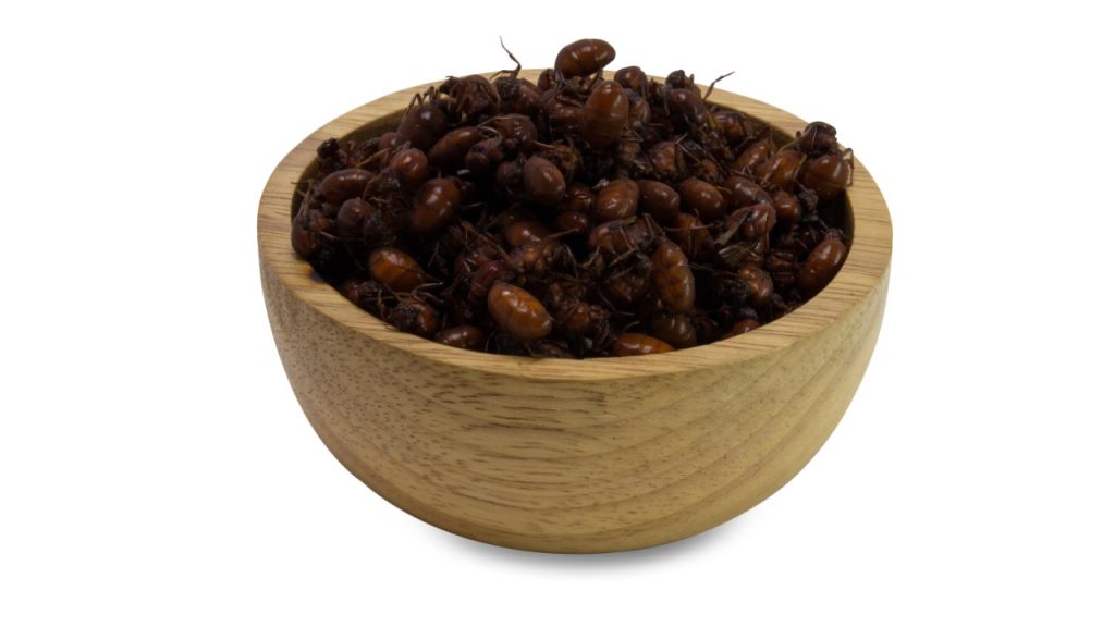 Why Can't Chicken Be Medium Rare? 13 Other Interesting Food Facts You ...